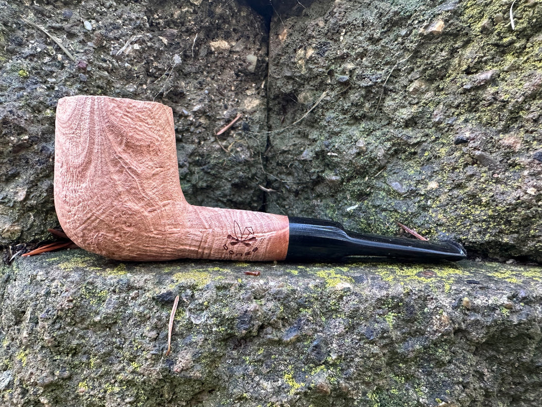 Bones – Morgan Pipes