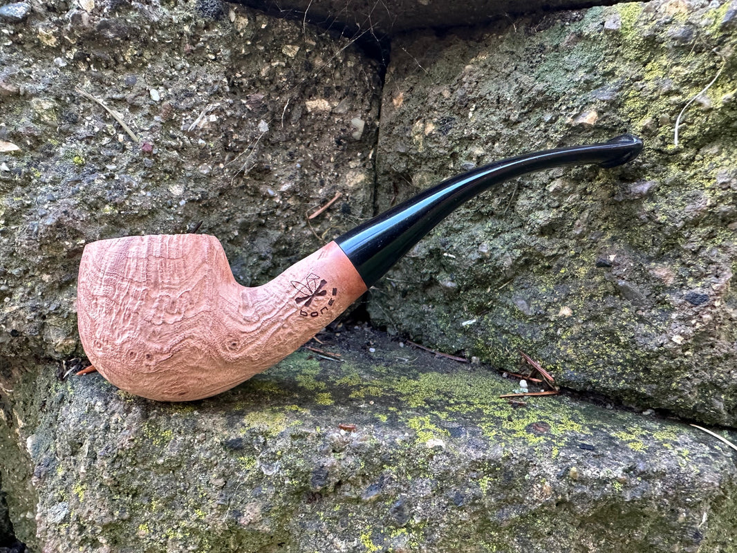 Bones – Morgan Pipes