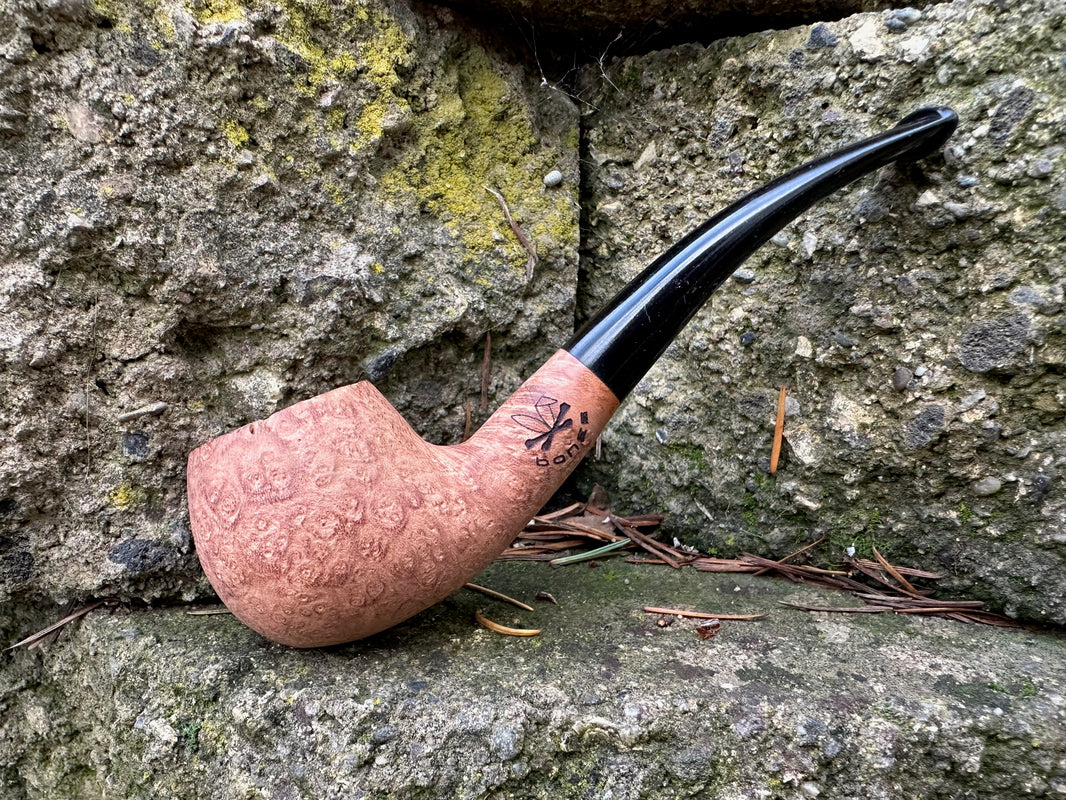 Bones – Morgan Pipes