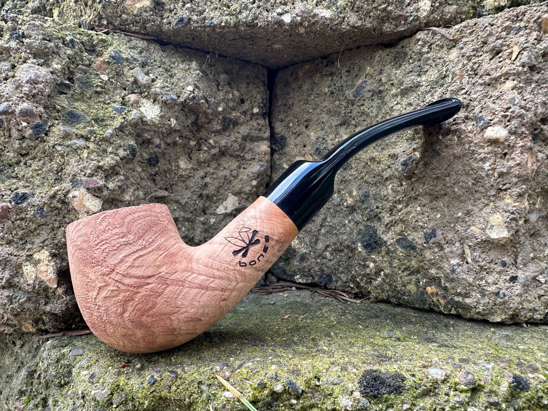 Bones – Morgan Pipes