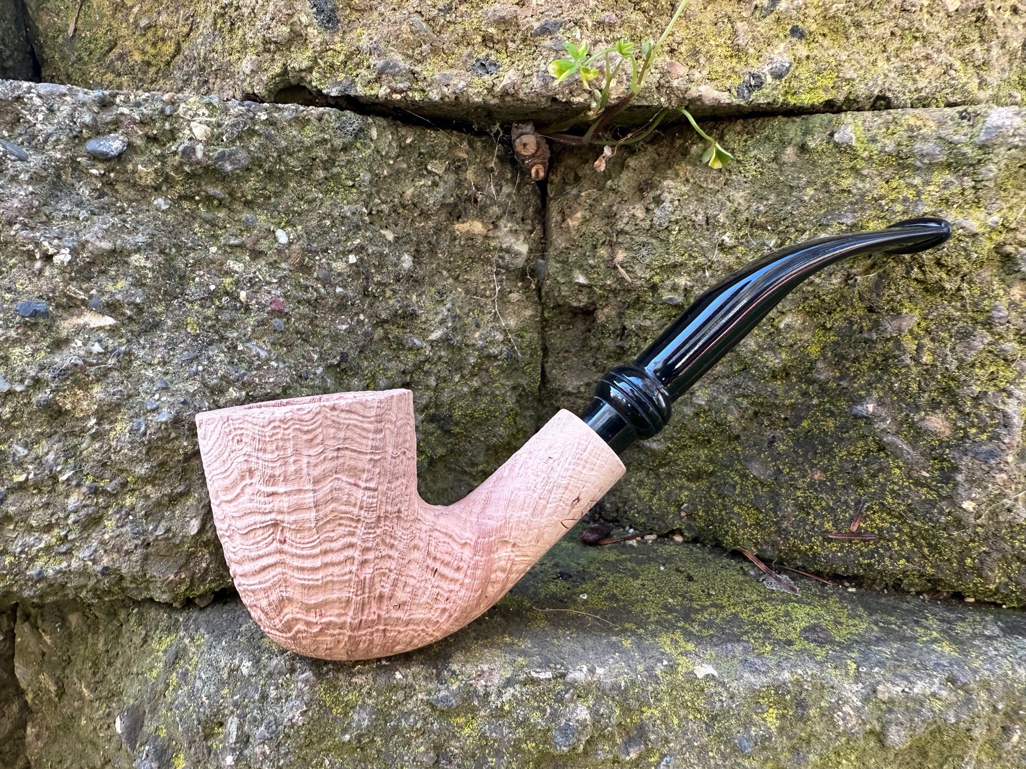 Bones – Morgan Pipes