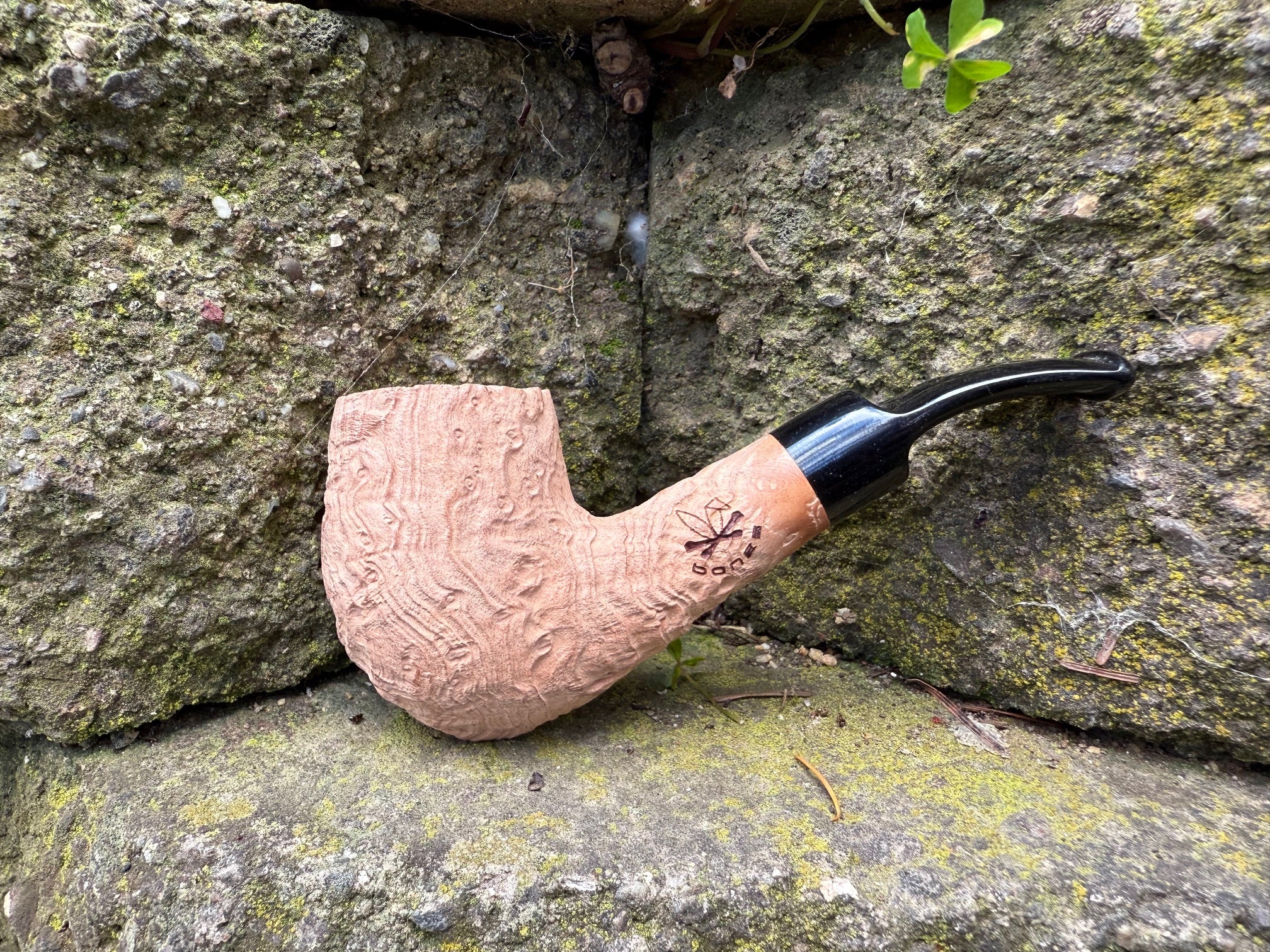 Bones – Morgan Pipes