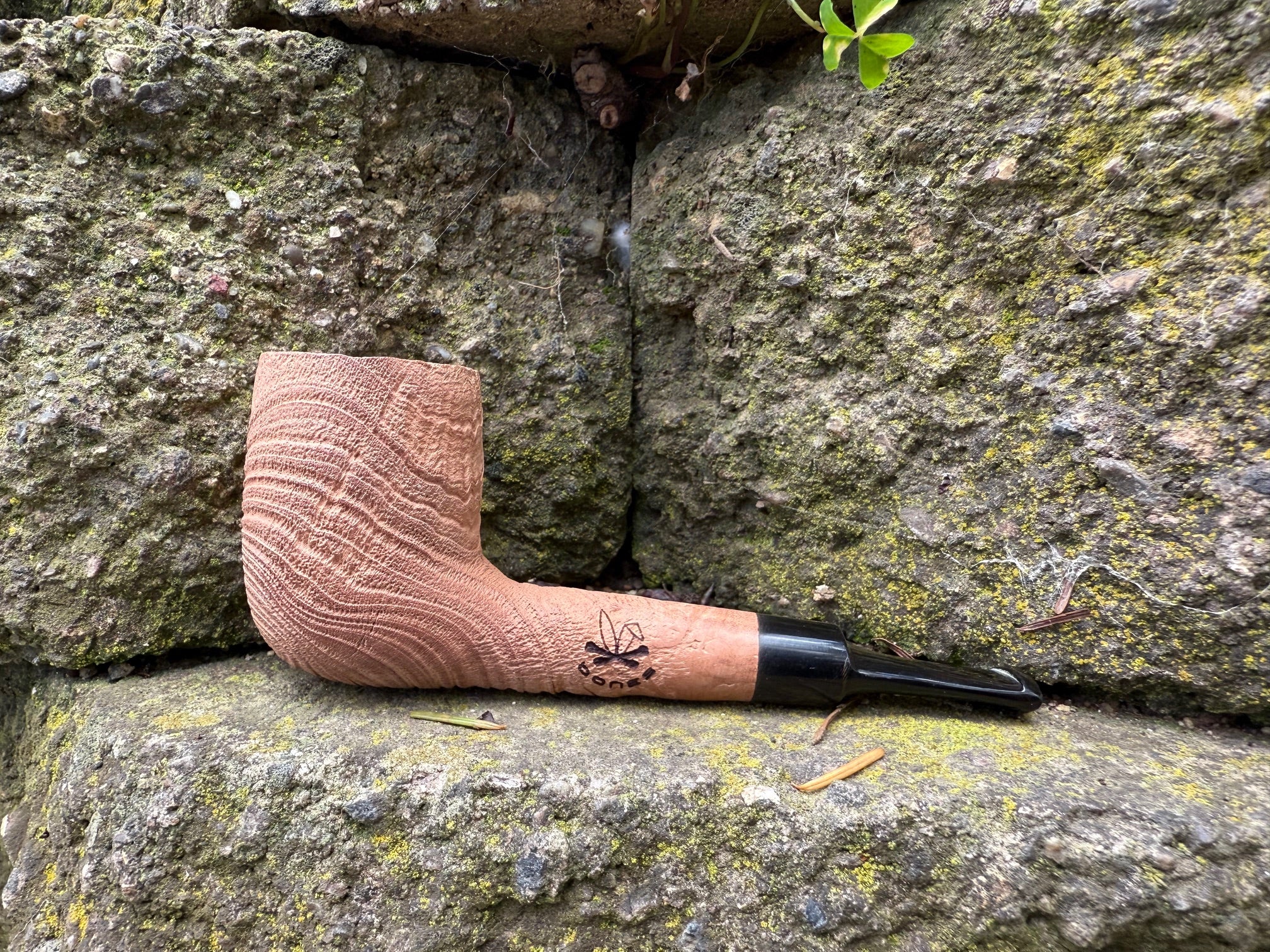 Bones – Morgan Pipes