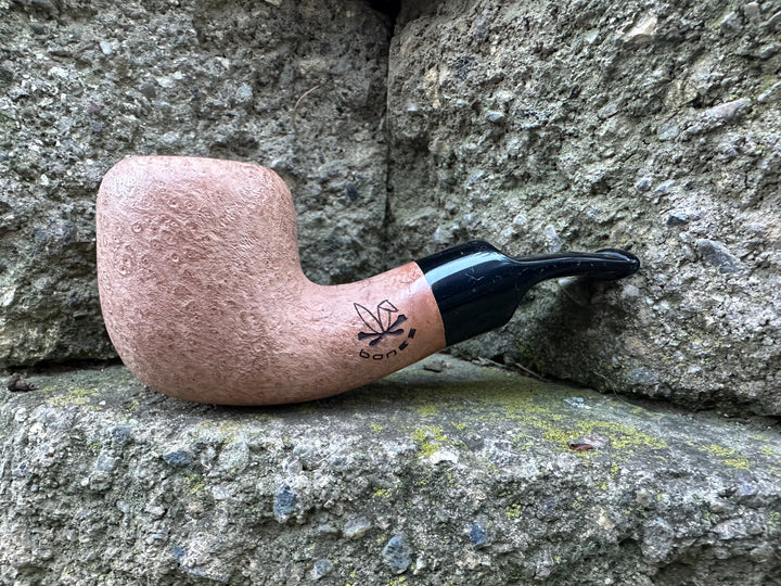 Bones – Morgan Pipes